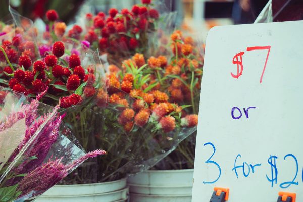 La psicologia del pricing: perché il valore percepito è determinato dal ...